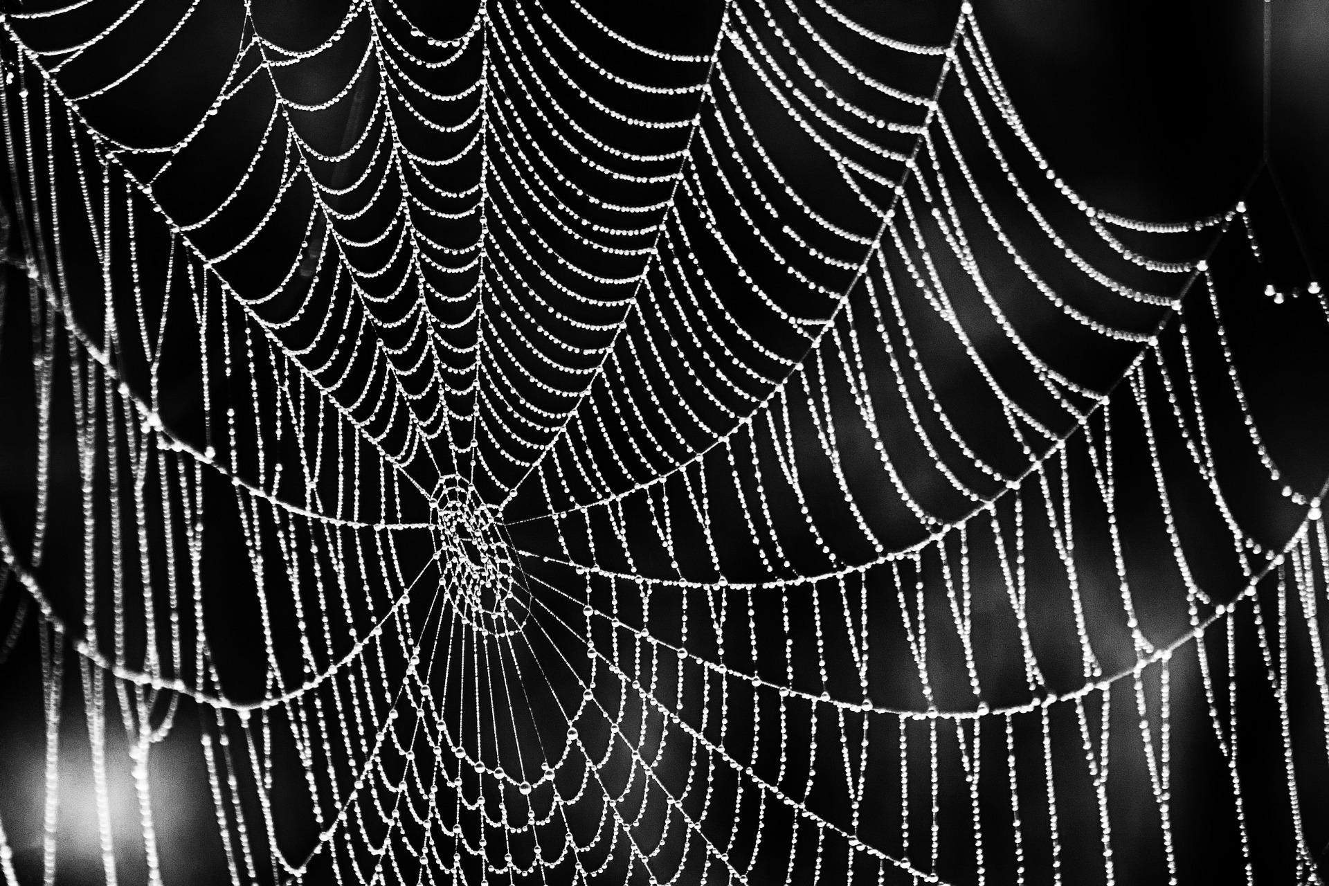 String Theory – Radix Magazine