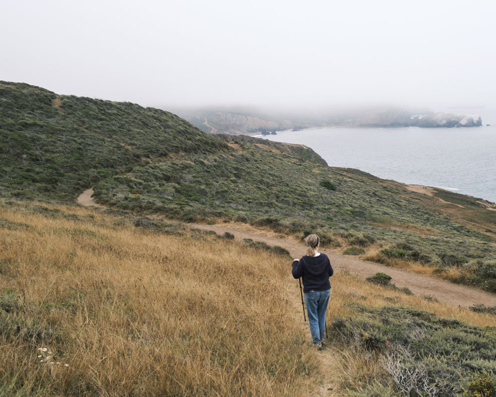 I’m Good with Languages – Radix Magazine