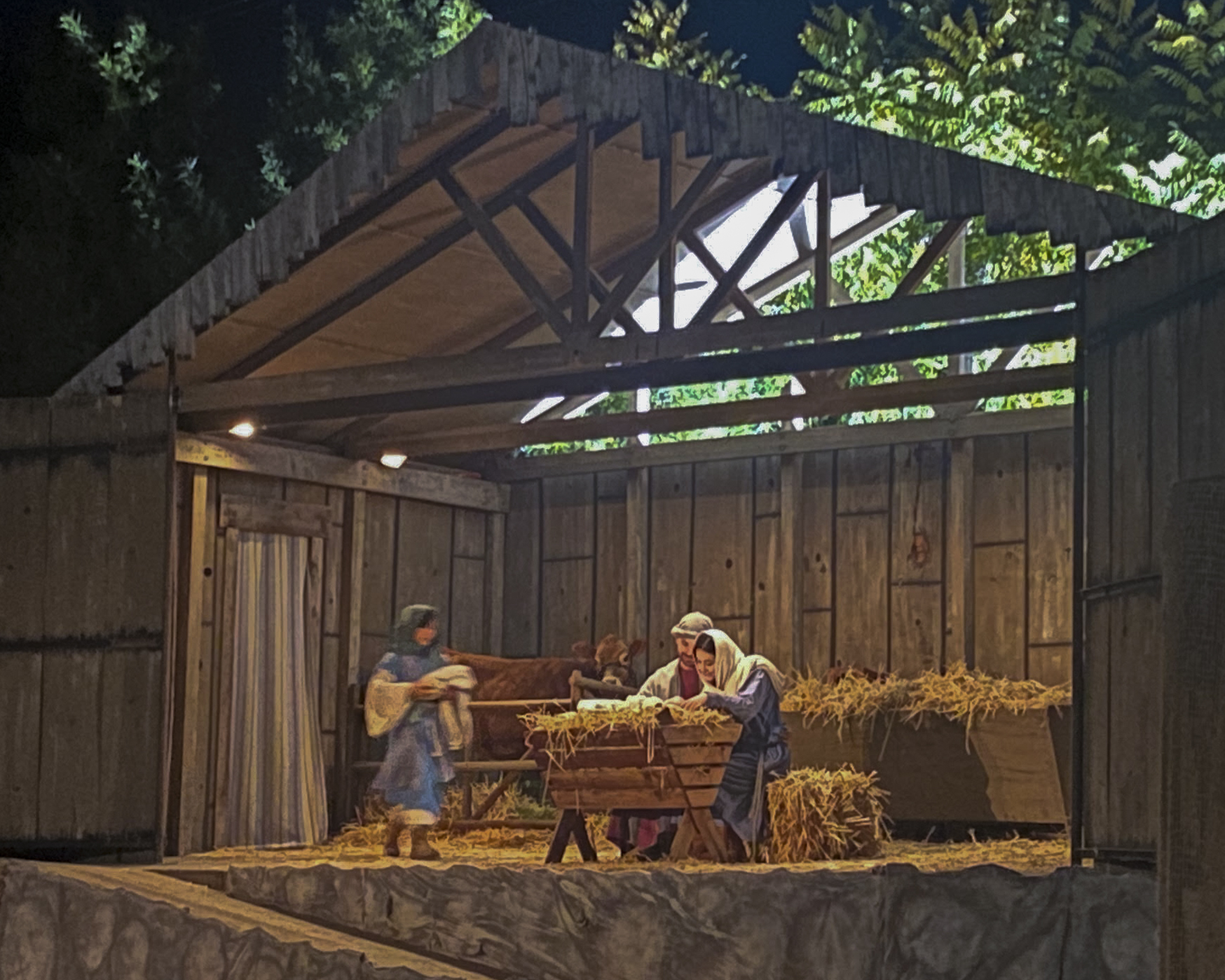 The Mothers of Bethlehem – Radix Magazine