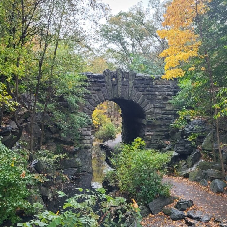 Just the Time for Story-telling: George MacDonald and a Christ-wise ...