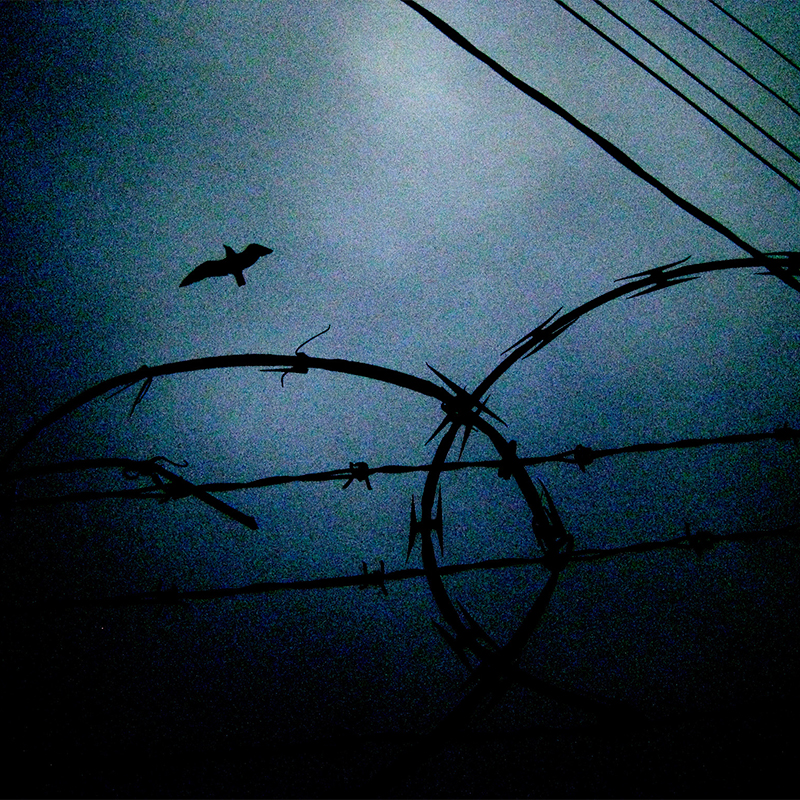 The gift of Presence – Radix Magazine