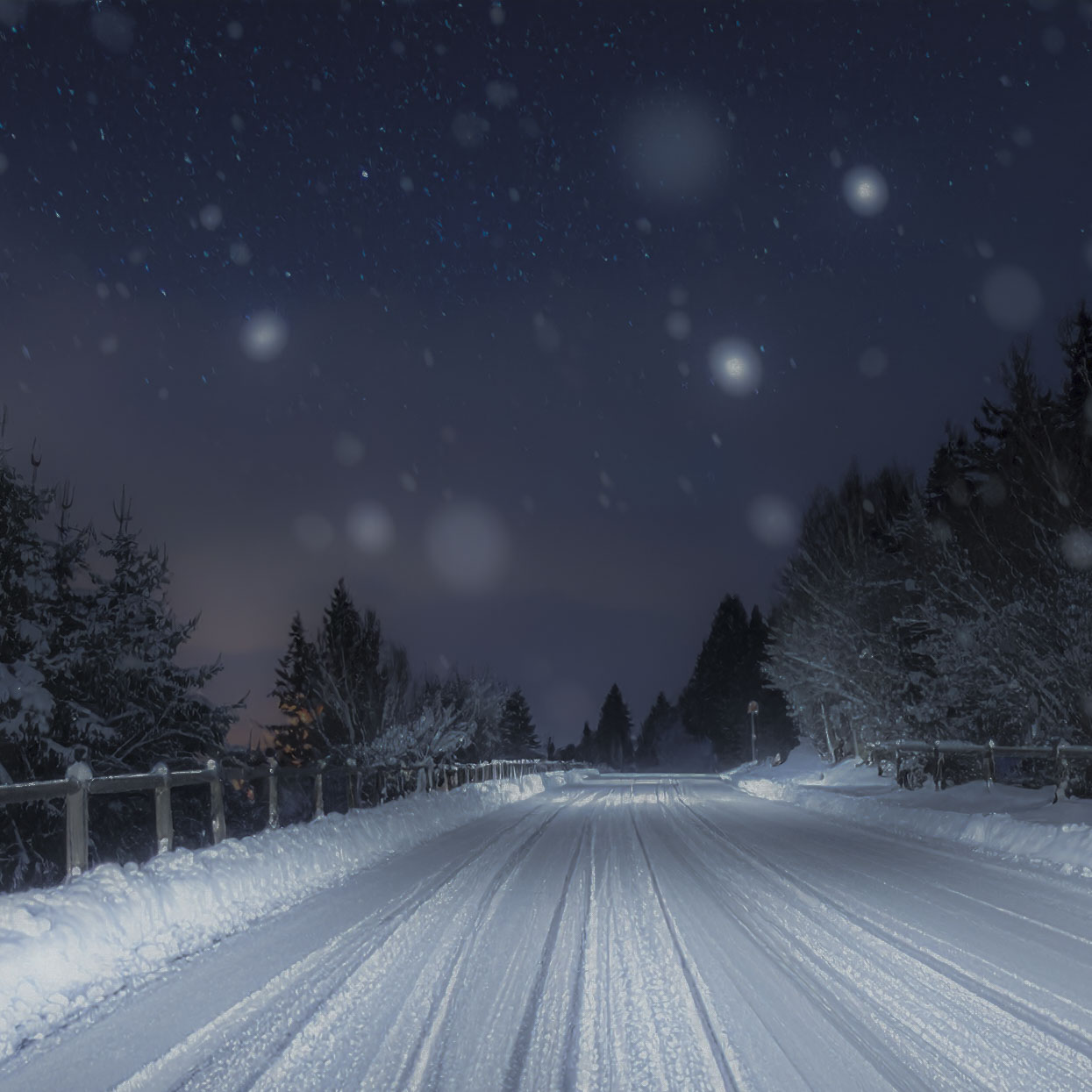 First Tires on Fresh Snow – Radix Magazine